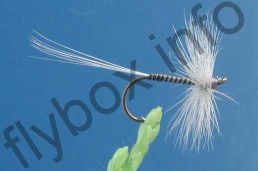 Blue Quill Fly - Fishing Flies with Fish4Flies Worldwide